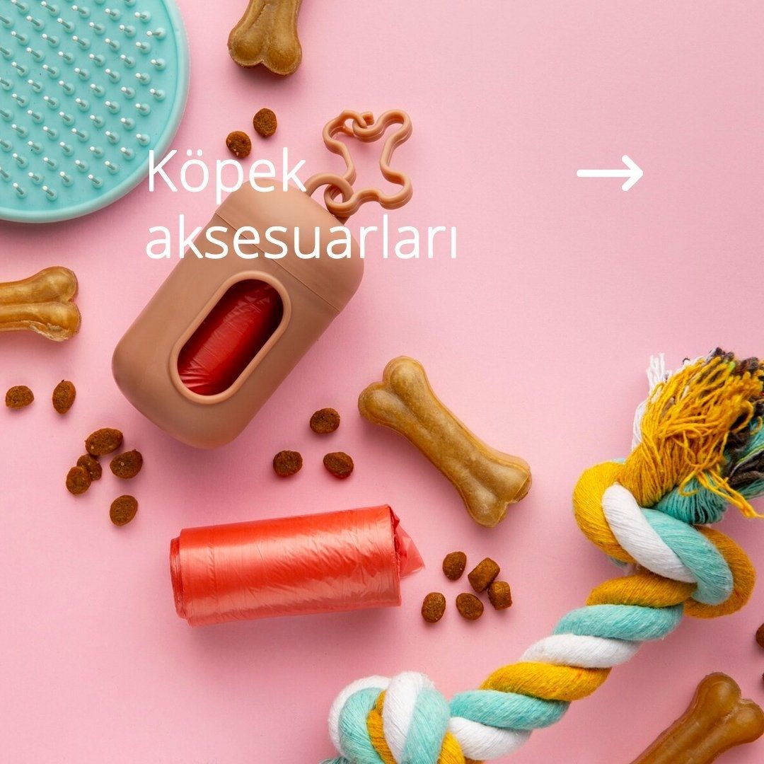 Köpek Reyonları